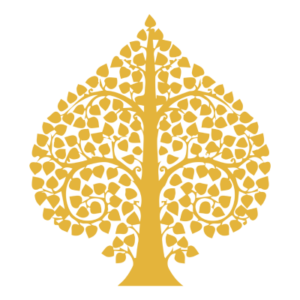 Best Traditional Thai Massage, Aroma Oil, Relaxing in Rome